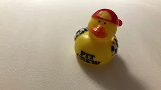 Gettin in the Groove – Duck of the Month