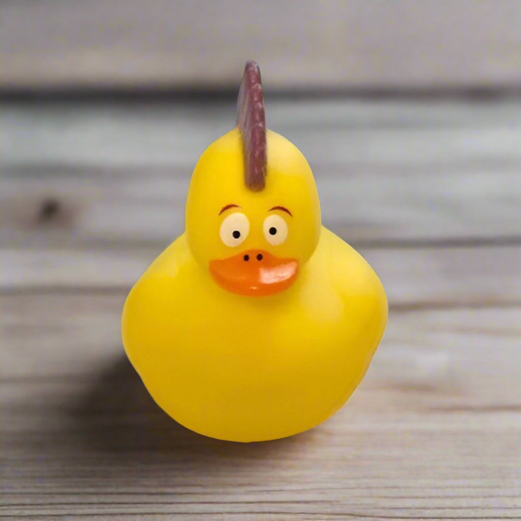 Hair Doo Rubber Ducks – Duck of the Month