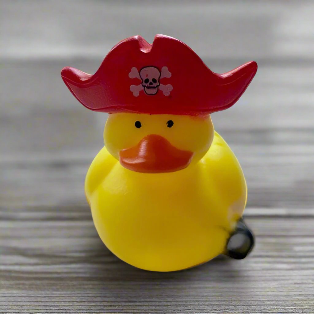 Pirate Rubber Ducks – Duck of the Month