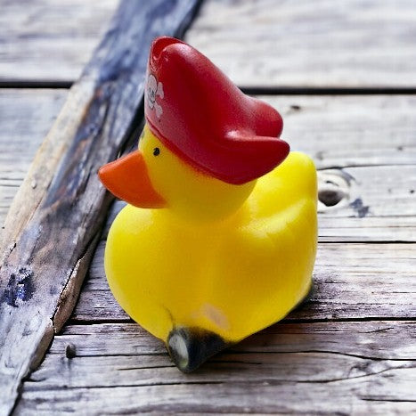 Pirate Rubber Ducks – Duck of the Month