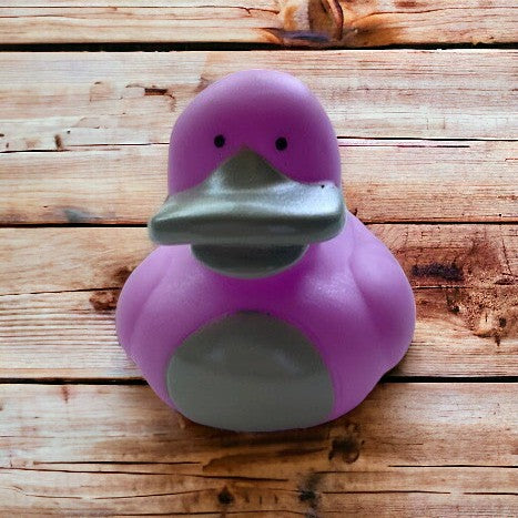Platypus Rubber Duck – Duck of the Month