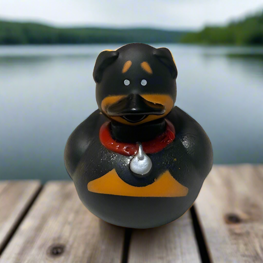 Puppy Dachshund Rubber Duck – Duck of the Month