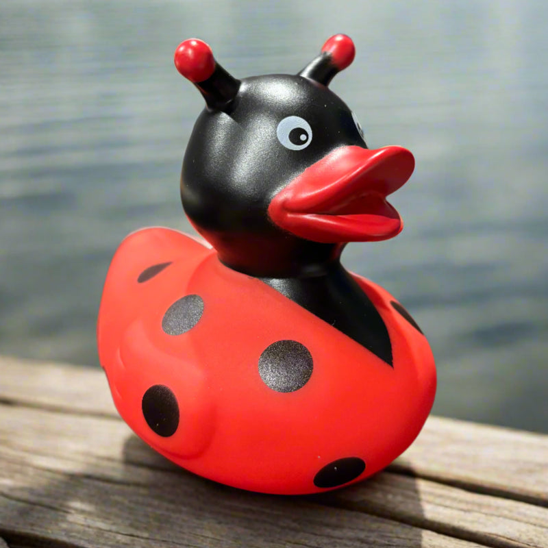 Ladybug Rubber Duck – Duck of the Month