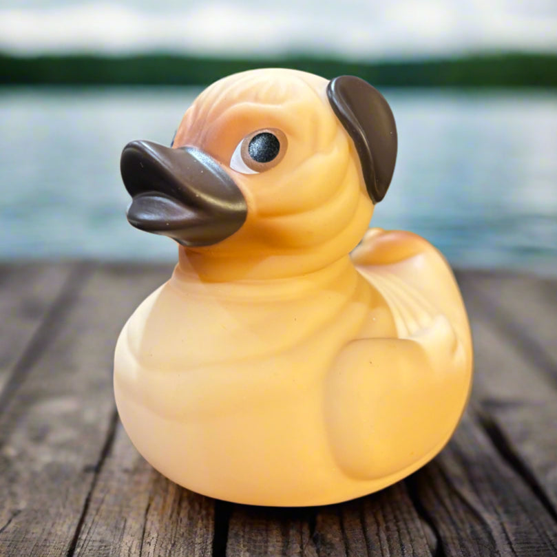 Pug Rubber Duck – Duck of the Month