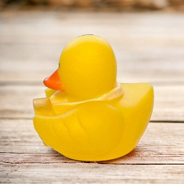 Sports Rubber Ducks – Duck of the Month