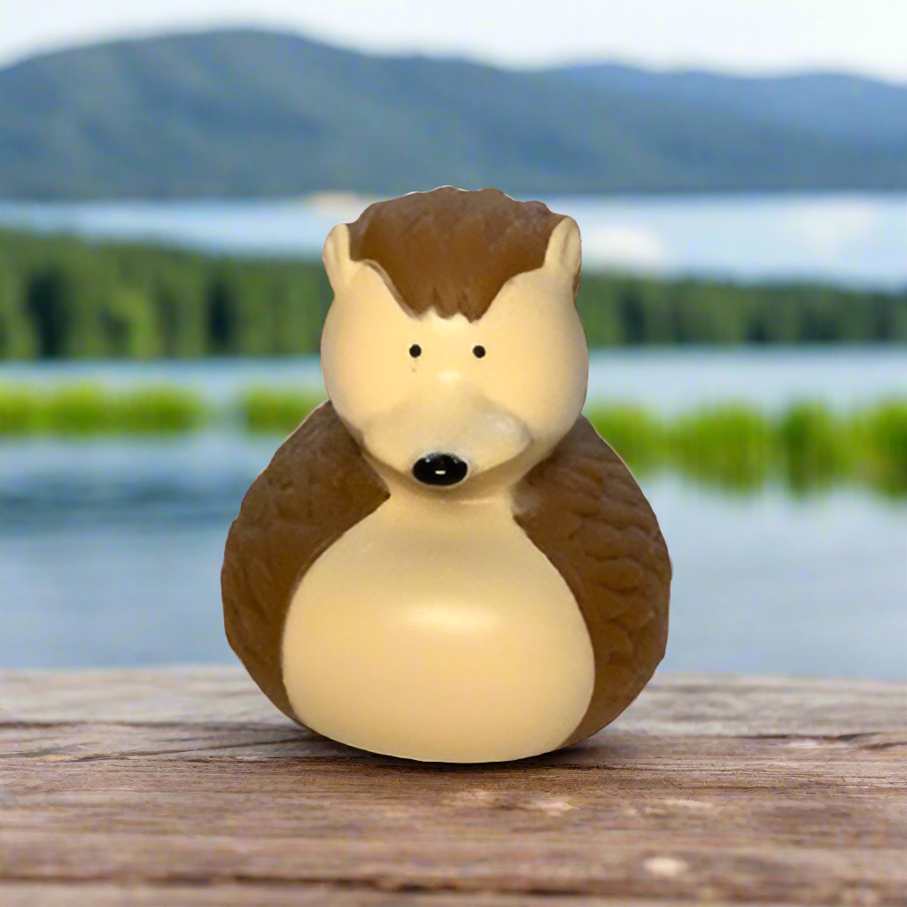 Hedgehog Rubber Duck – Duck of the Month