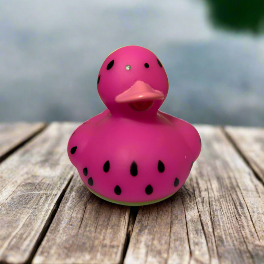 Watermelon Rubber Duck – Duck of the Month