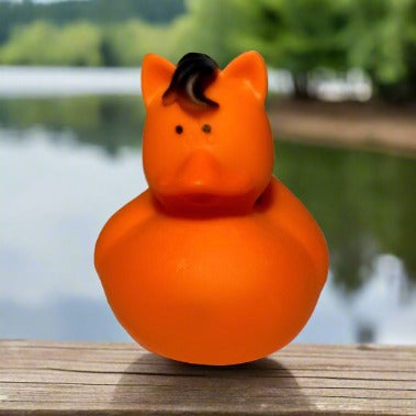 Horse Pony Rusty Rubber Duck – Duck of the Month