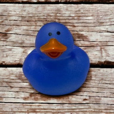 Color Changing Blue Rubber Duck – Duck of the Month