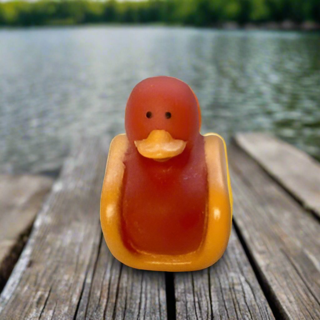 Hot Diggity Dog Rubber Duck – Duck of the Month